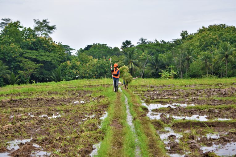 Bachelor of Geodetic Engineering Study Program – Department of Geodetic ...